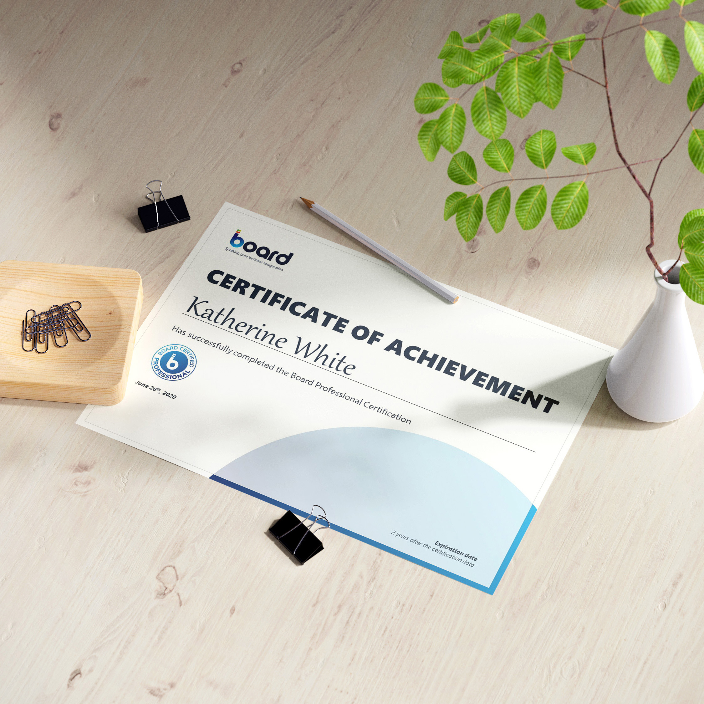 Board Certification Program Professional