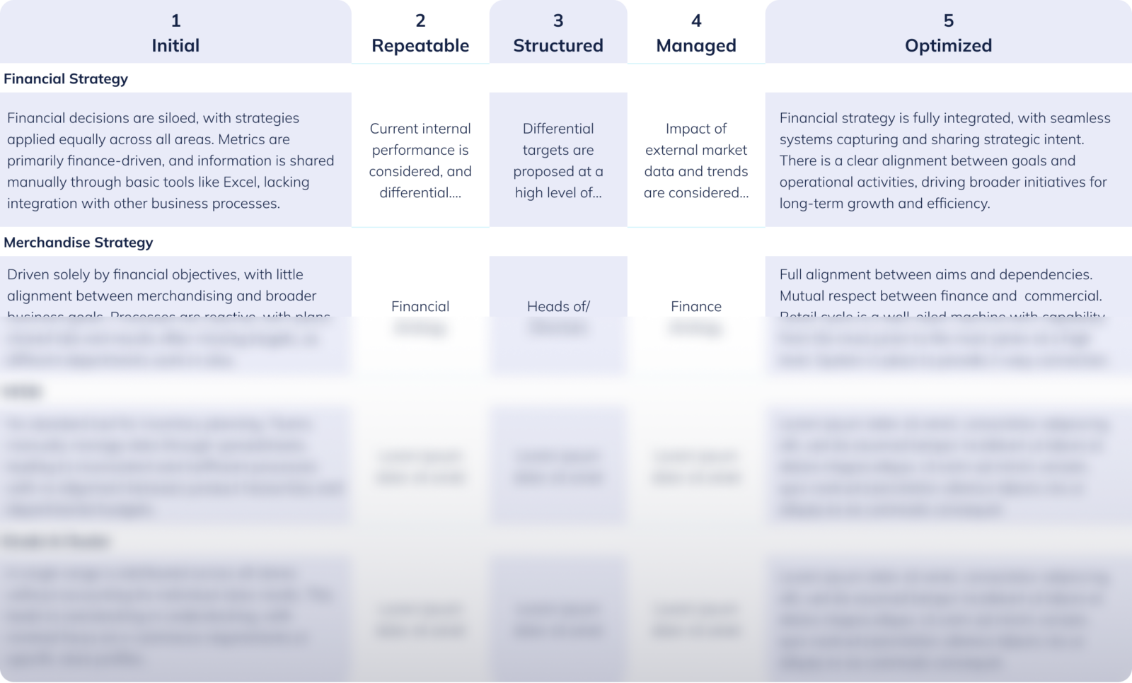 Board | Retail Merchandising Maturity Assessment